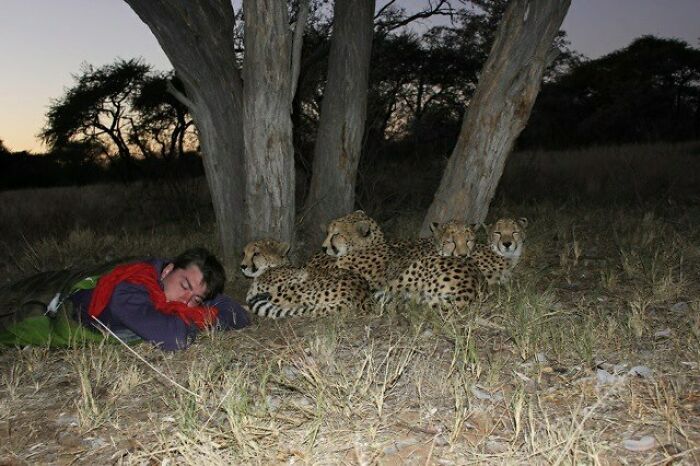 39 People Who Kept Their Cool In A Rather Unusual Situation
