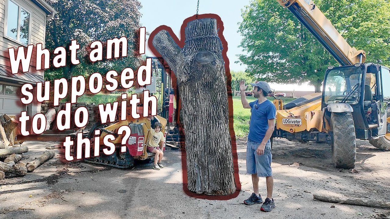 Which Way do You to Orient a Cracked Log?