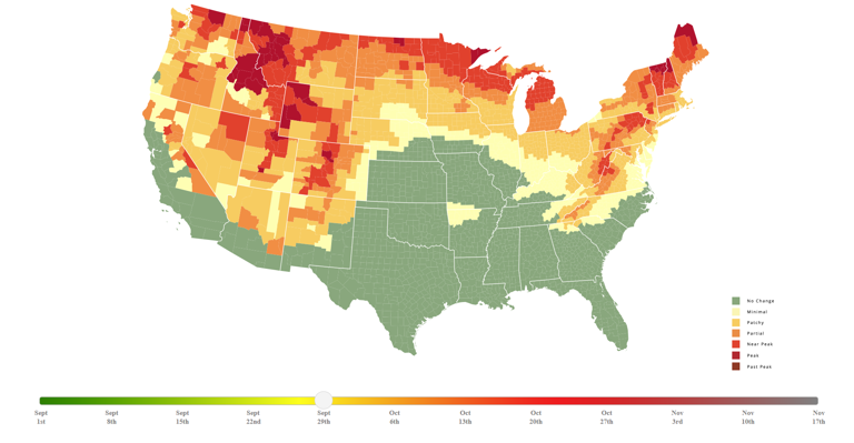 2025 fall colors in Michigan: Foliage map, timeline for changing leaves