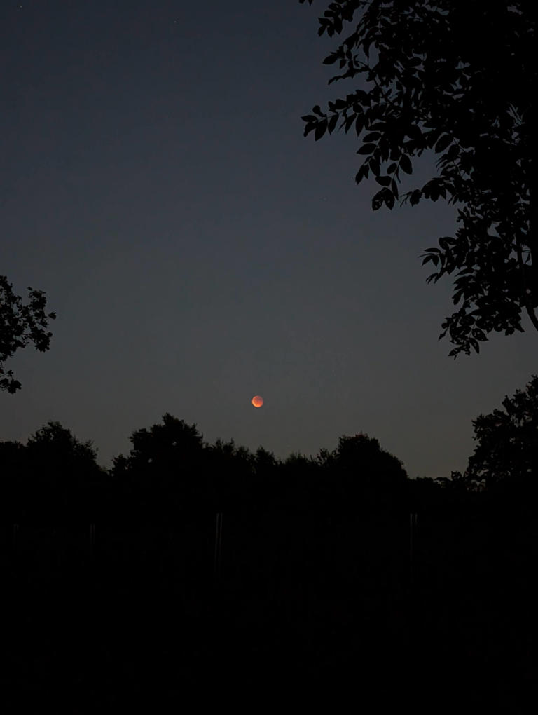 KN-Fotoaktion zu Mondfinsternis: Leserfotos vom Blutmond über SH