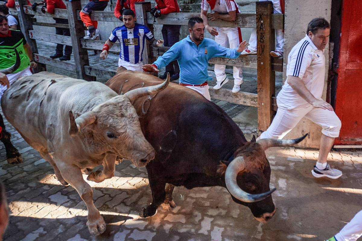 Horror in Spain: Bull Charges Into Crowd—Man Gored to Death