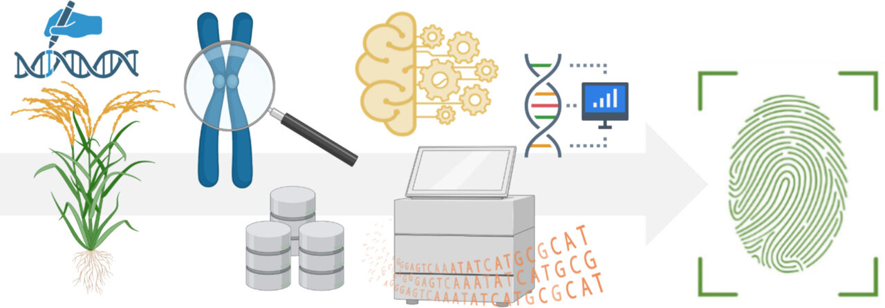 Genetic fingerprint approach enhances detection of gene-edited organisms