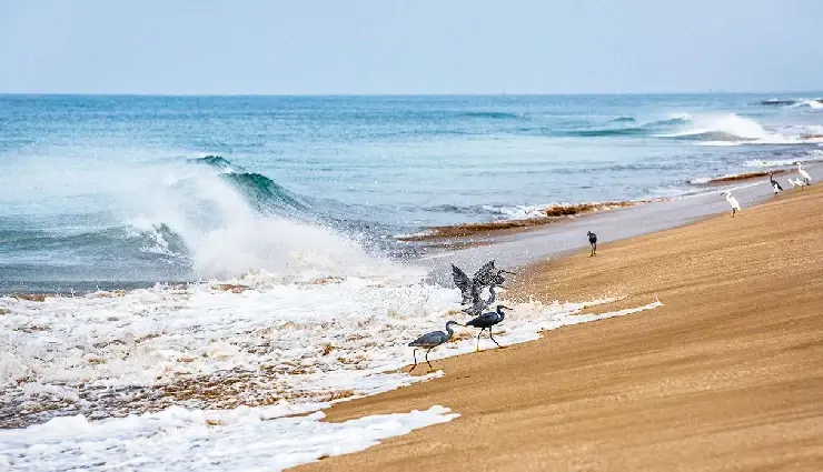 10 Must Visit Places in Gir, Gujarat