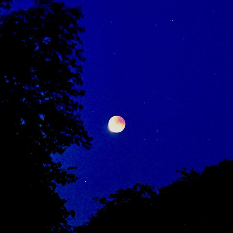 KN-Fotoaktion zu Mondfinsternis: Leserfotos vom Blutmond über SH