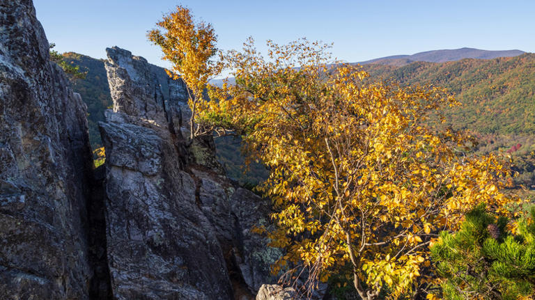West Virginia's Underrated Scenic Skyway Is The Perfect Place To See ...