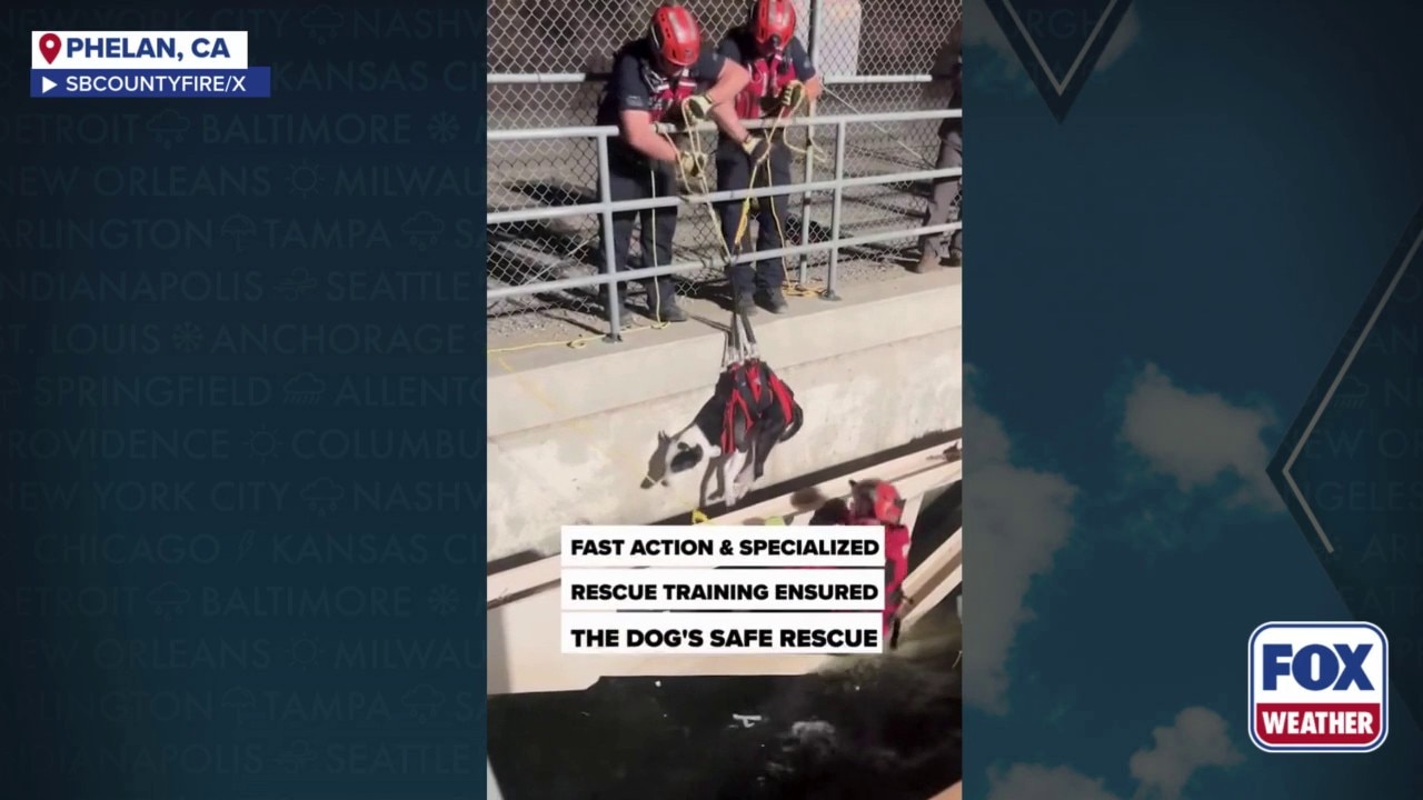 Watch: San Bernardino County firefighters rescue dog from rushing water ...