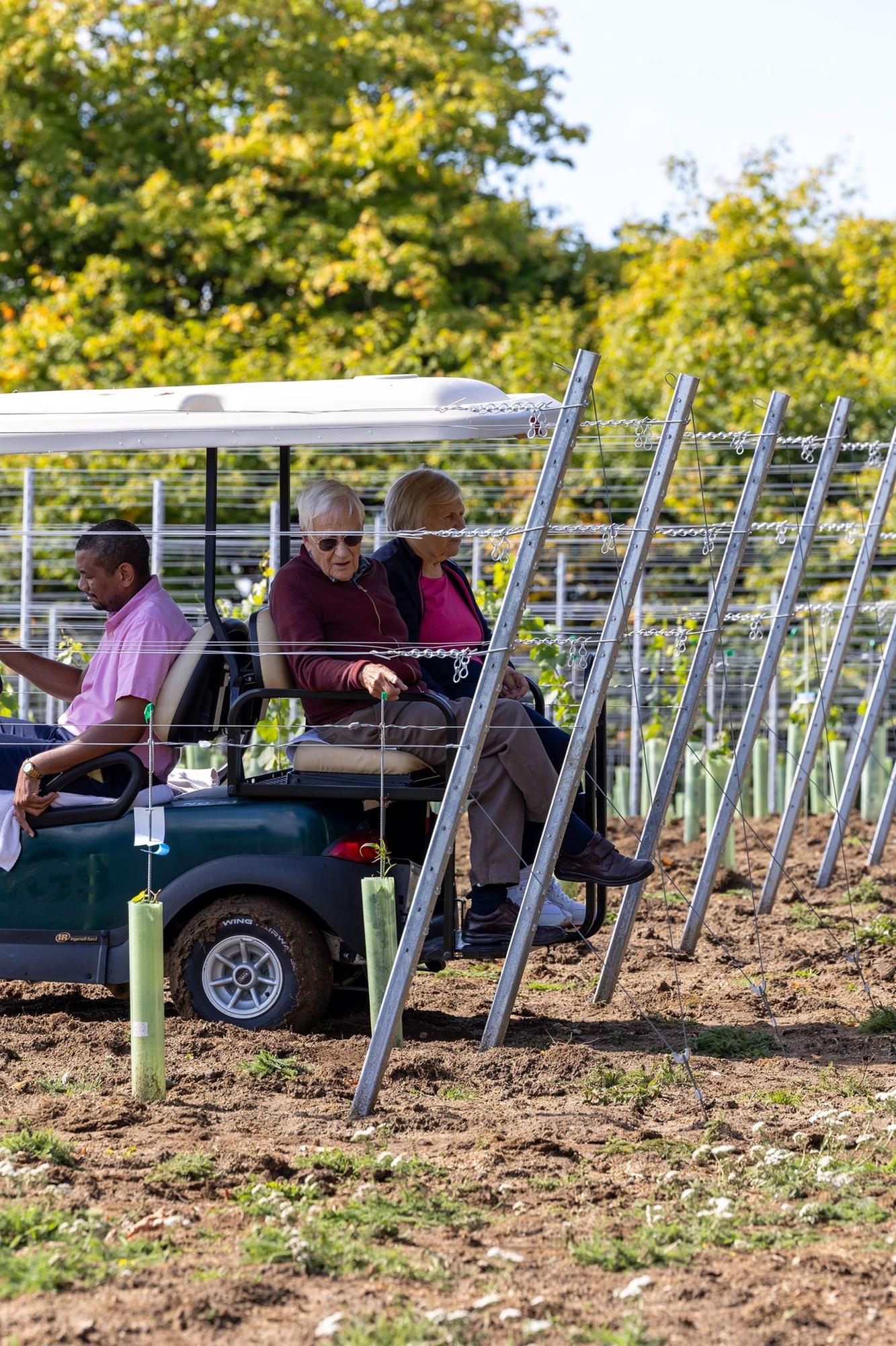 A vineyard grows at Bartlett's: Care home residents celebrate a first-of-its-kind experience in ...