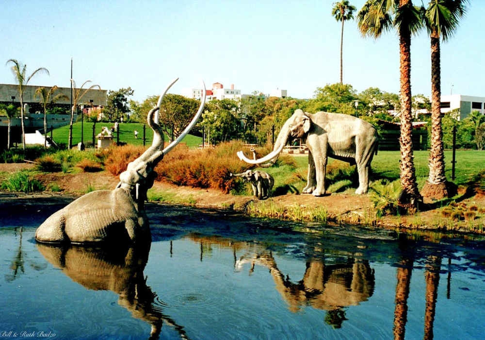 The La Brea Tar Pits Hold a Dark Warning About Mass Extinction