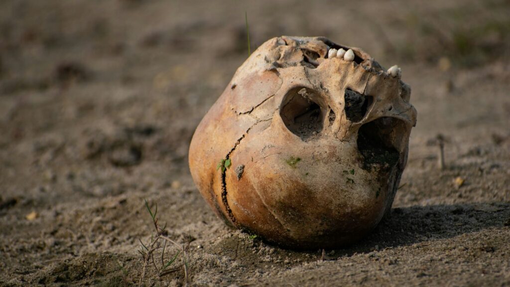 Archaeologists discover tooth and bones that could challenge early ...