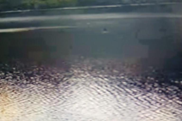 Loch Ness Monster video sighting as 'neck-like object' spotted on surface of water