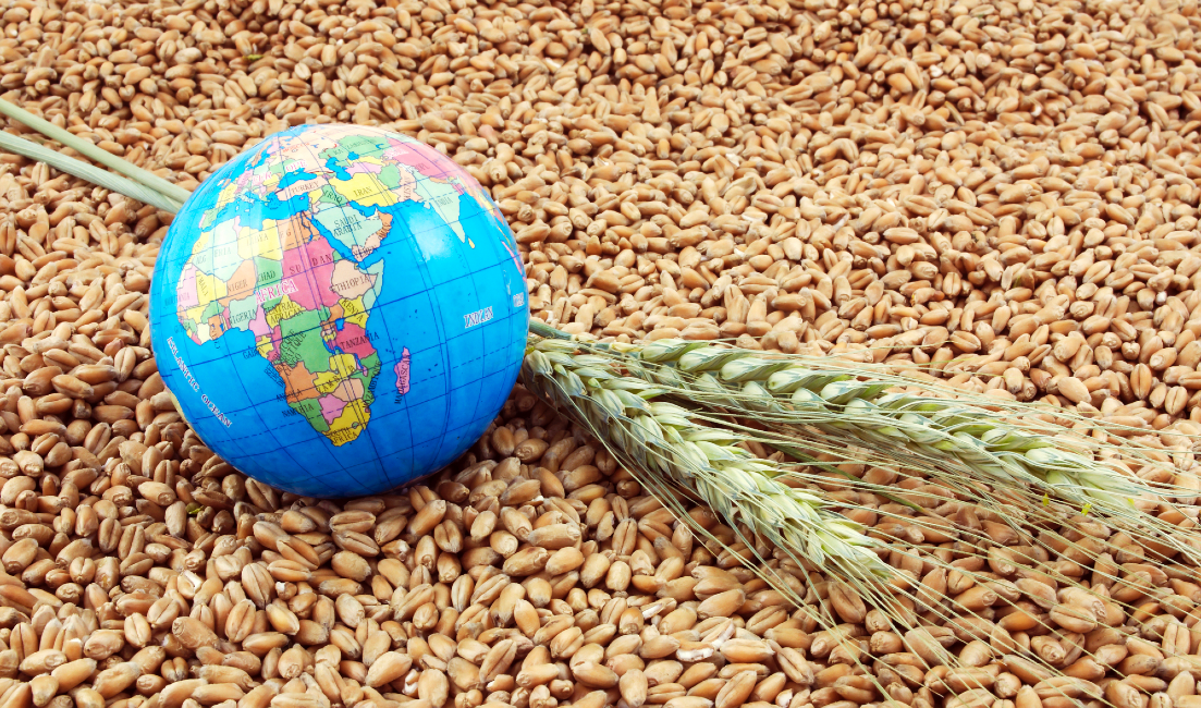 Climate Threatens Global Food Supply With Rising Crop Failures