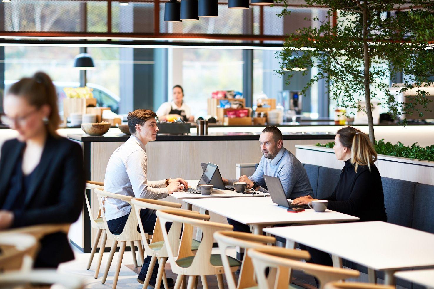 Explore the Strange, Surprising & Sometimes Silly World of Historic ...