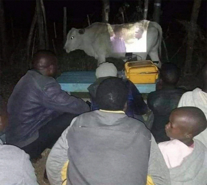 39 People Who Kept Their Cool In A Rather Unusual Situation