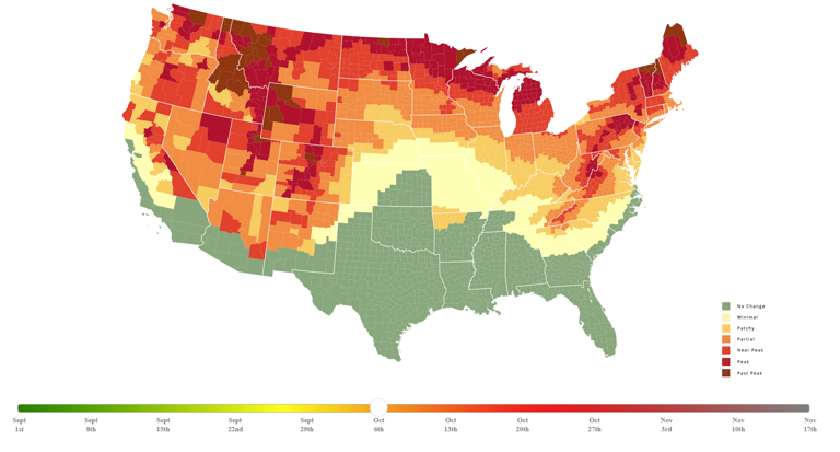 2025 fall colors in Michigan: Foliage map, timeline for changing leaves