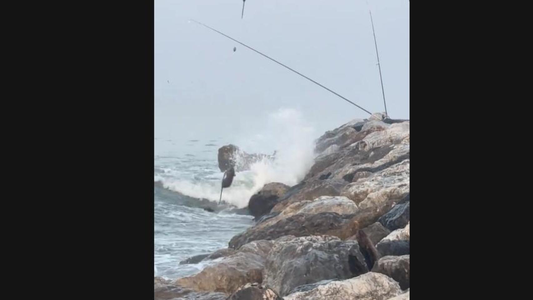 Un vecino de Málaga va a pescar al espigón de la Misericordia y alucina ...