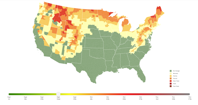 2025 fall colors in Michigan: Foliage map, timeline for changing leaves