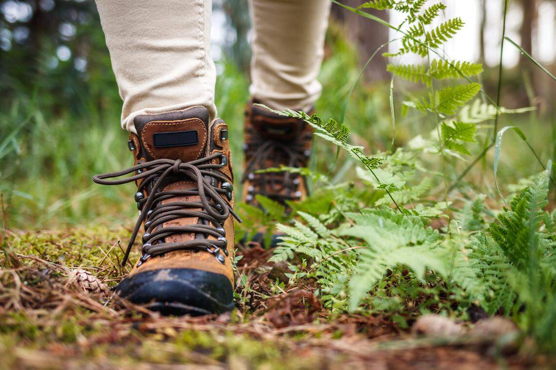 Rescue training interrupted by an actual rescue of missing boy, CA ...