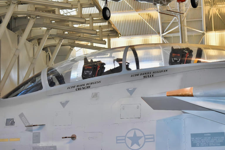 A Navy Topgun instructor flew a smaller cheaper jet so low it ...