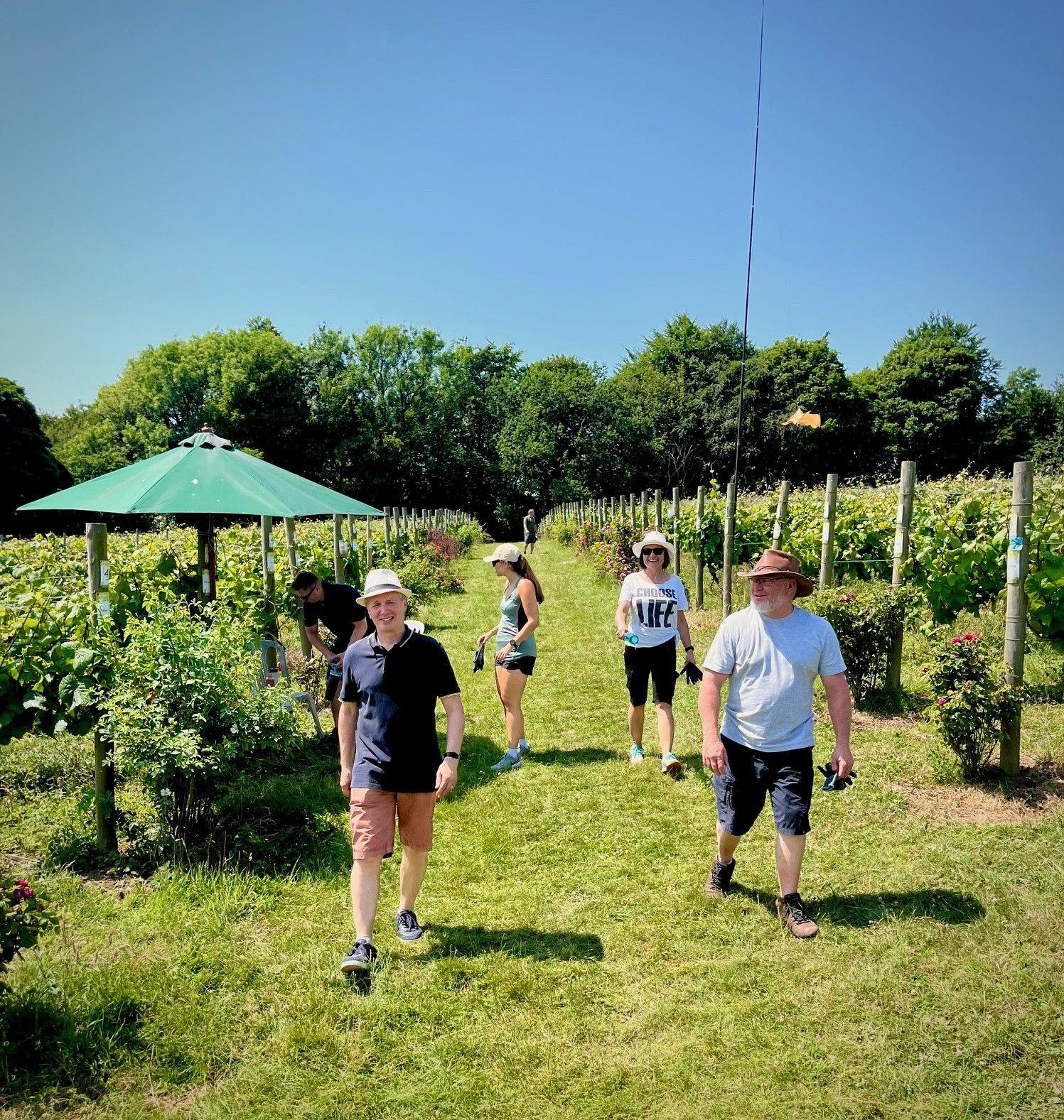 B. Braun partners with Whirlow Hall Farm Trust to launch 'The Outdoor ...