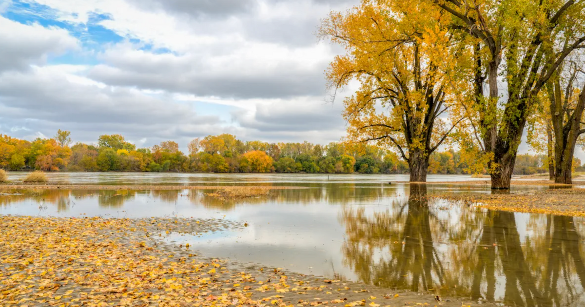 Here Are The Best Times And Places To View Nebraska's Fall Foliage In 2025