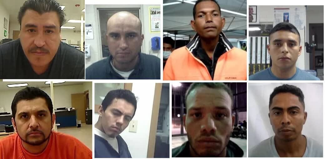 WATCH: DHS launches ICE 'Midway Blitz' in Chicago as Trump calls out ...