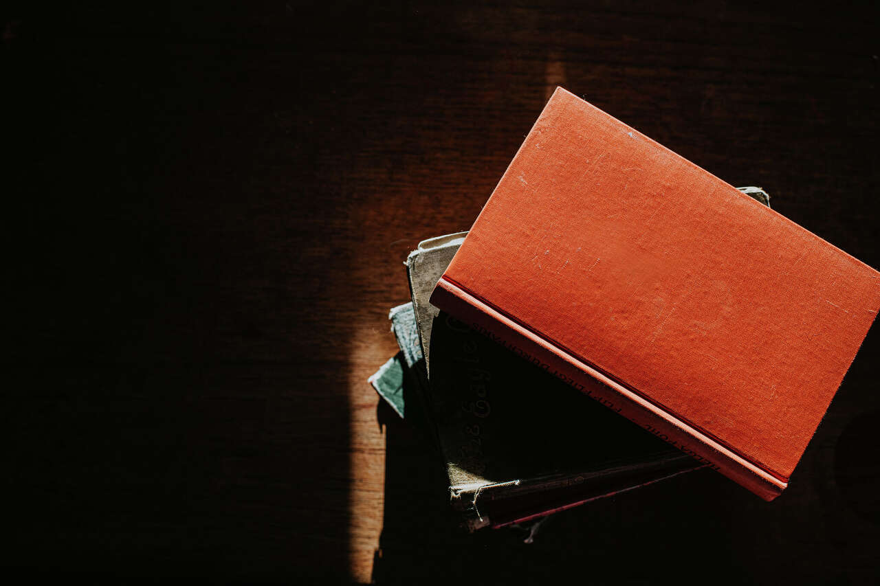 Pathfinder Community Library Book Buzz for July 24, 2025