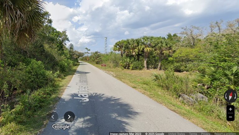 Two endangered Florida predators hit and killed by vehicles one day apart