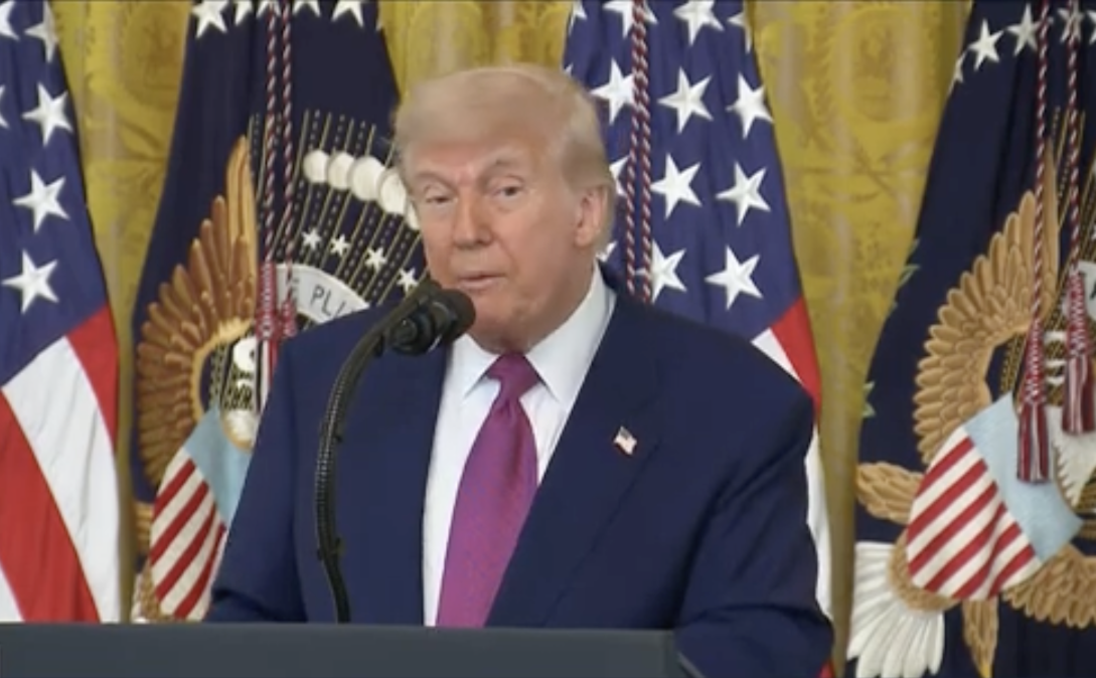 'The Windmills Are Killing Our Country': Trump Spirals Into Illogical ...