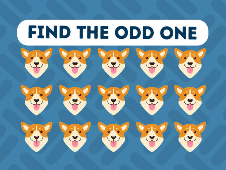 Find the Odd One Out in 20 Seconds — a Speed-Thinking Test