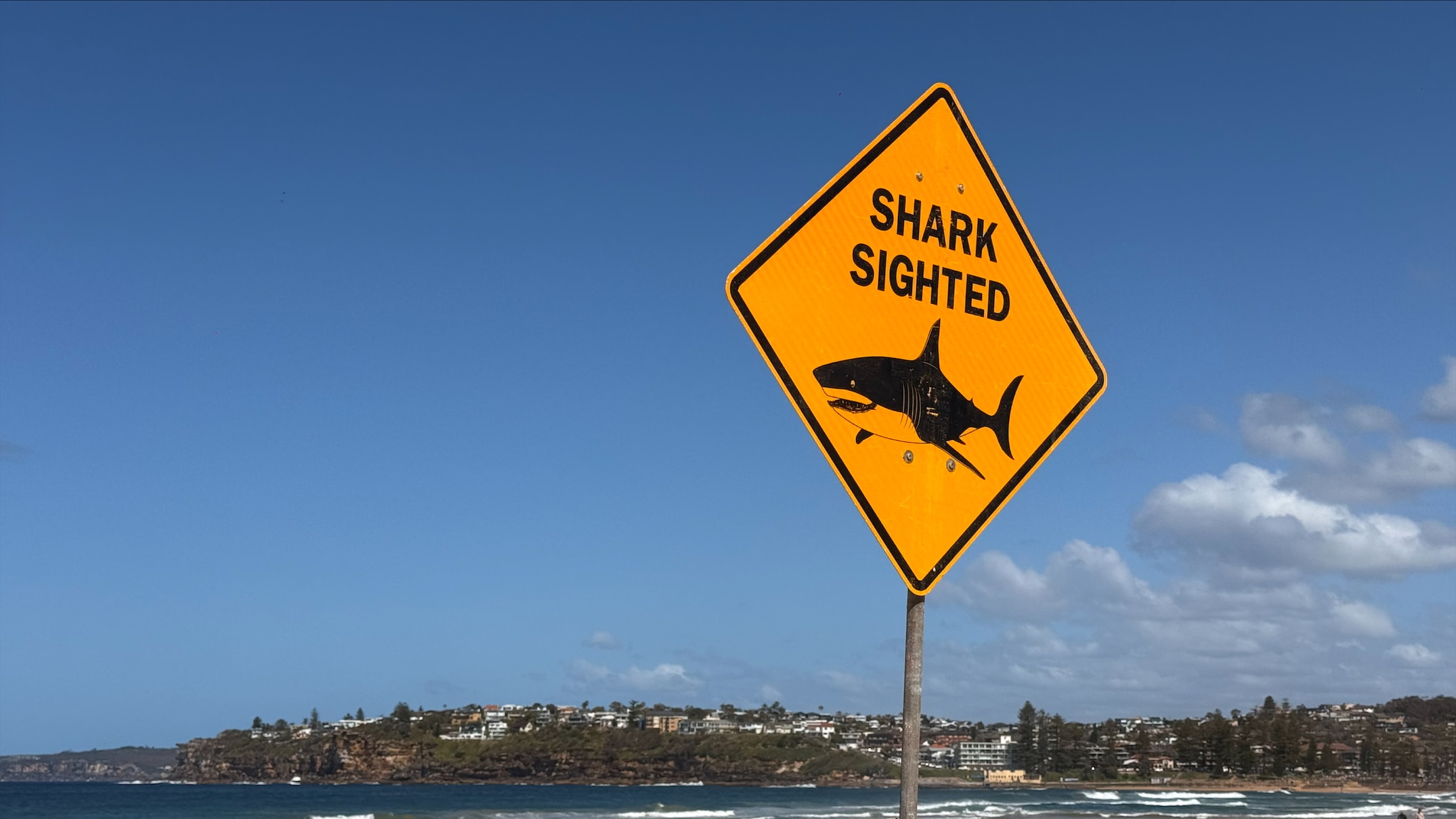 Fatal shark attack at Sydney beach reignites shark net debate