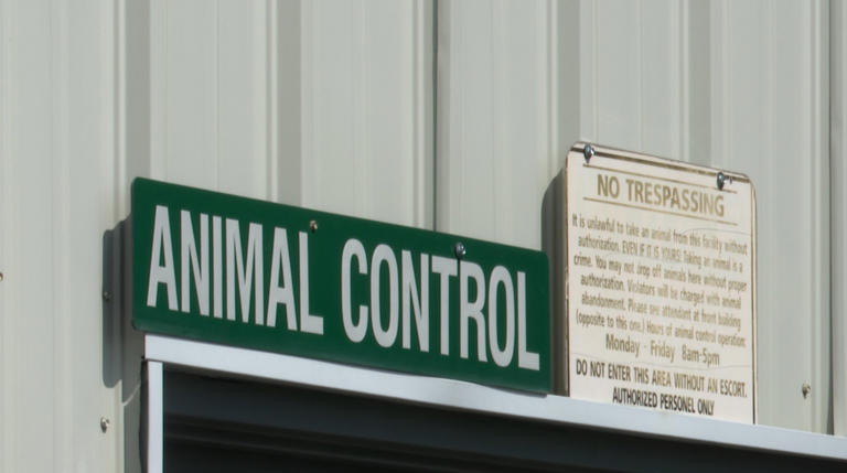 What’s the future of the North Augusta Animal Shelter?