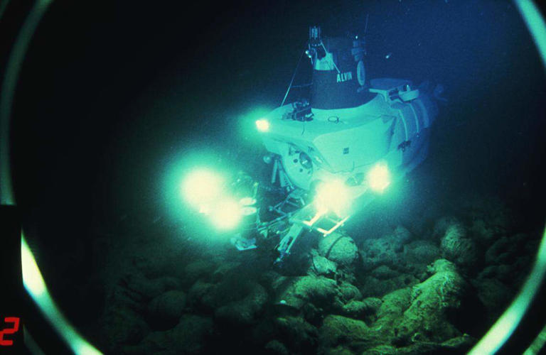 Deep-sea creature with ‘strikingly' prickly head is a new species off ...