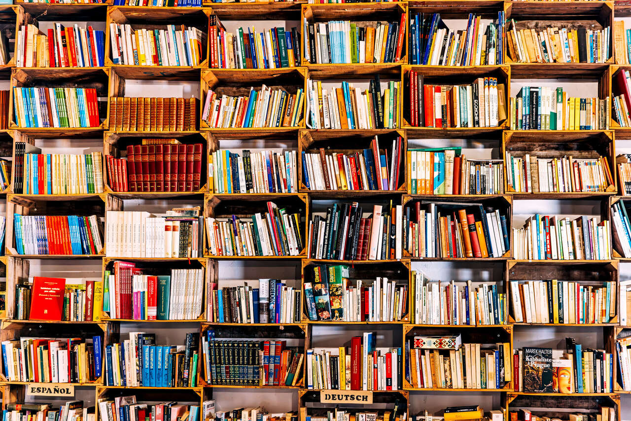 Pathfinder Community Library Book Buzz for Aug. 14, 2025