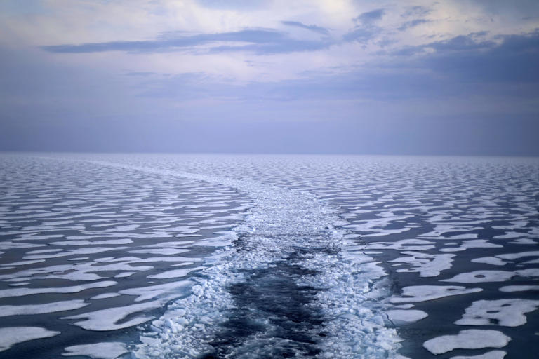 Canada sends ice-breaker ships to free freighter stuck in Arctic sea route