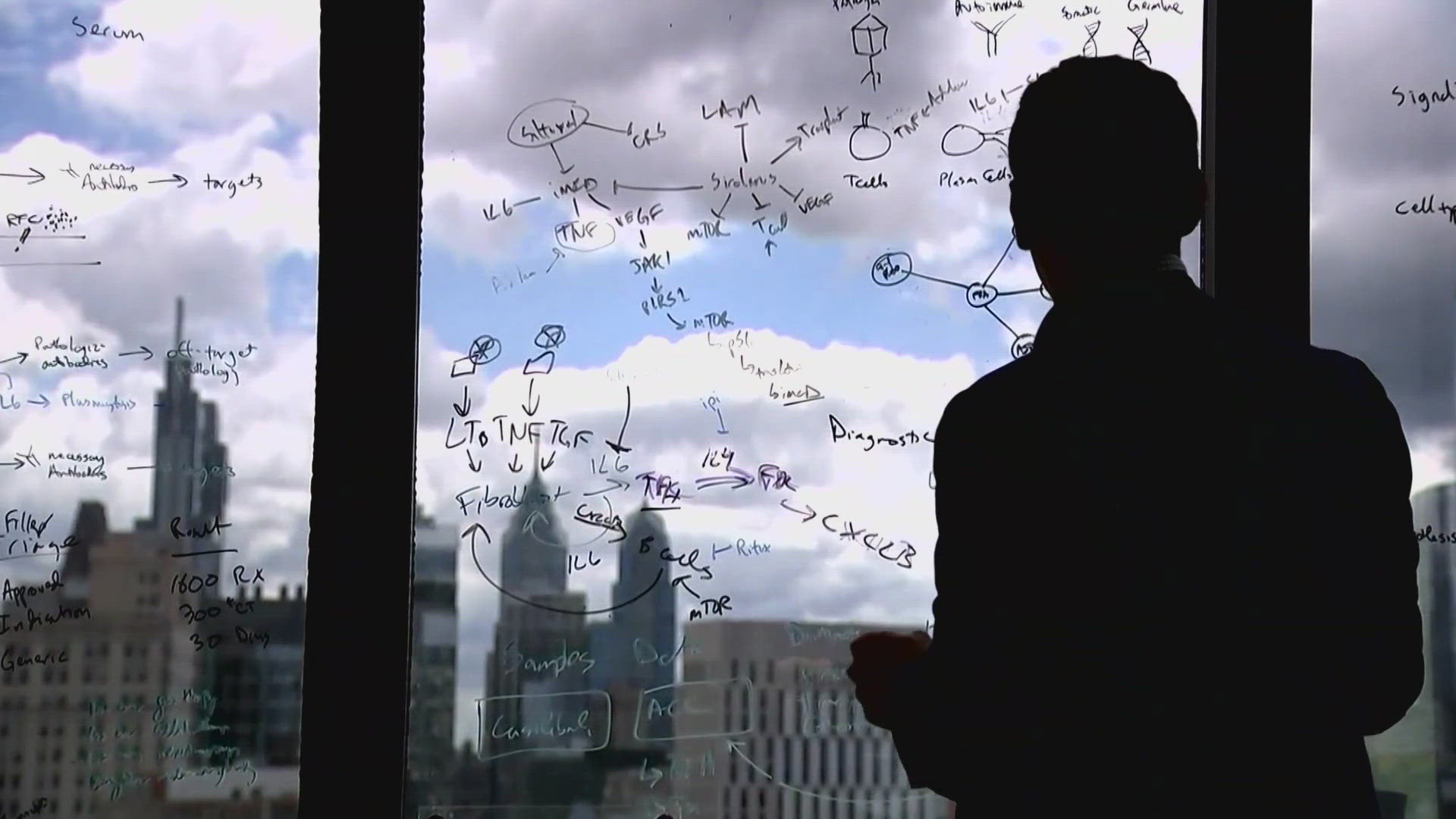 Non-profit uses AI to search for cures