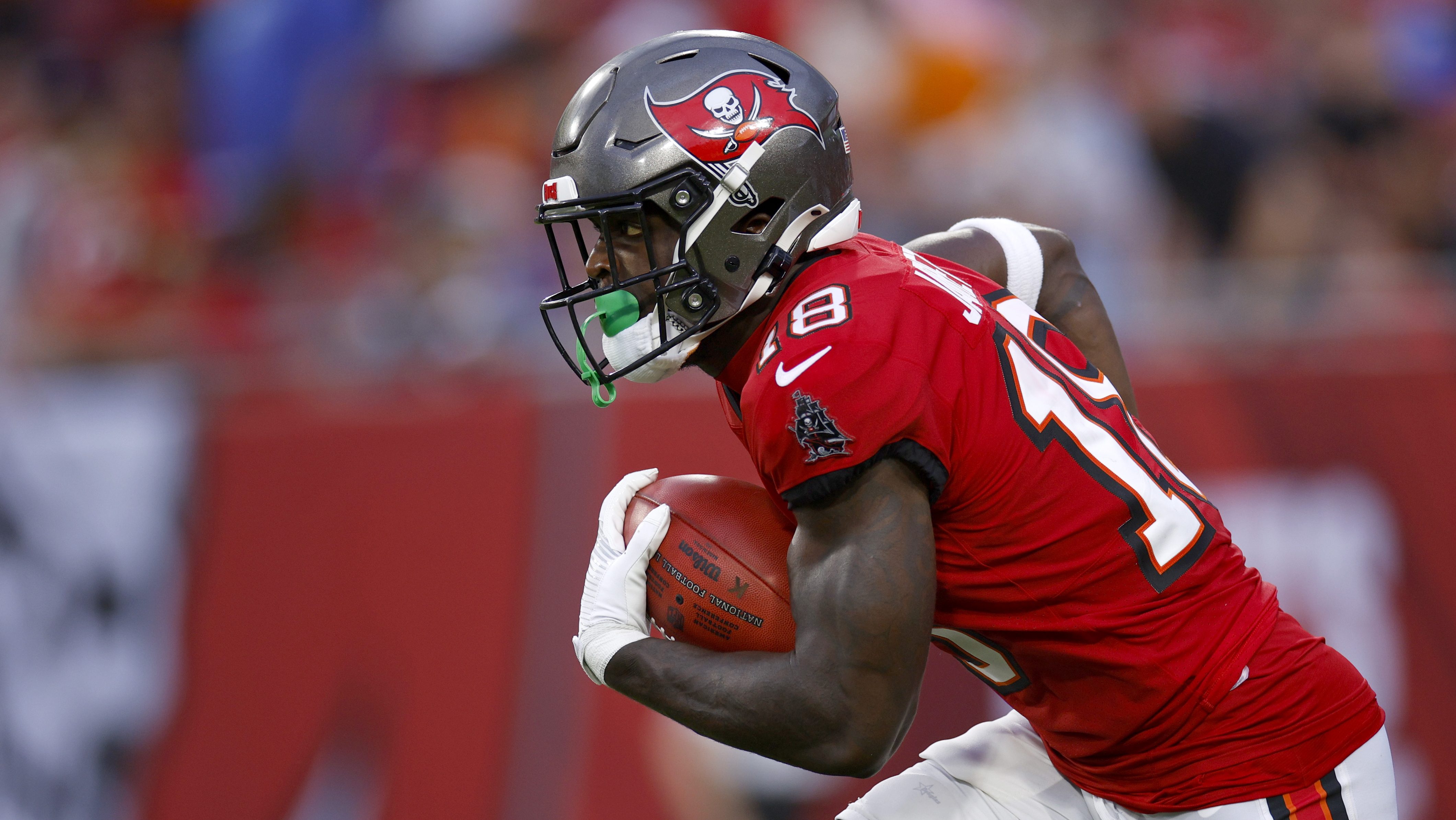 Former Buccaneers WR Gets Another Shot in NFC North