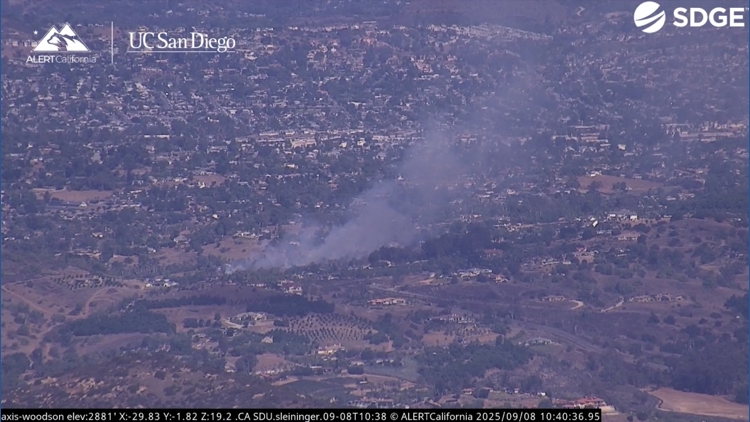 Fire crews quickly extinguish brush fire in Escondido | Flora Fire
