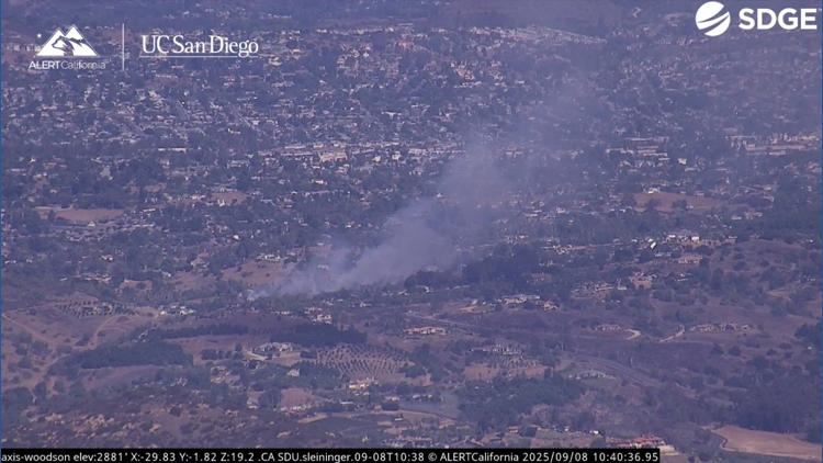 Fire crews quickly extinguish brush fire in Escondido | Flora Fire