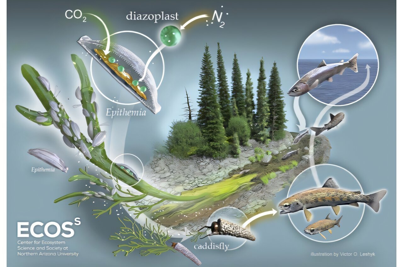 Scientists uncover a clean, natural process that nourishes rivers ...