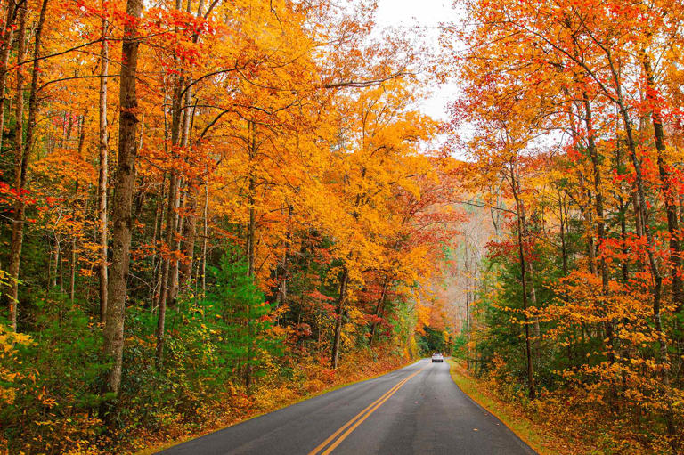 We Asked Travel Experts Their Favorite Fall Foliage Destination in the ...