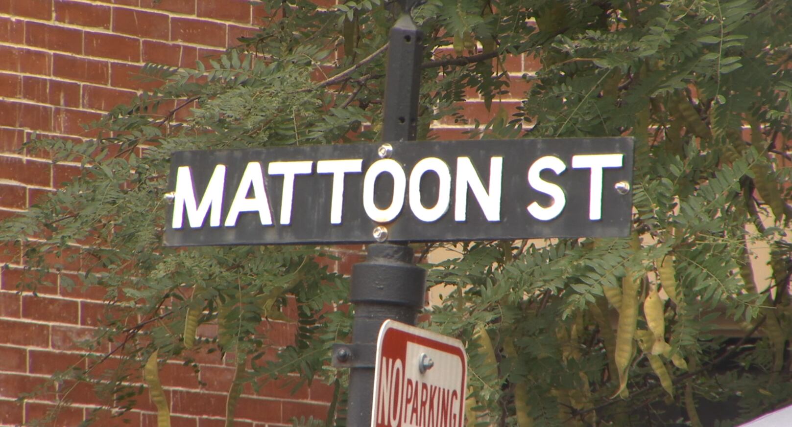Mattoon Street Arts Festival held in Springfield