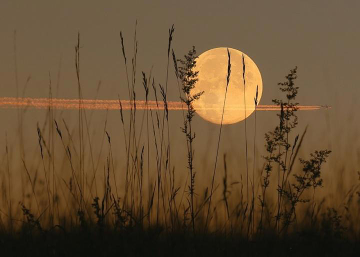 Did you see Sunday night’s full Corn Moon in Louisiana? Here’s what you ...