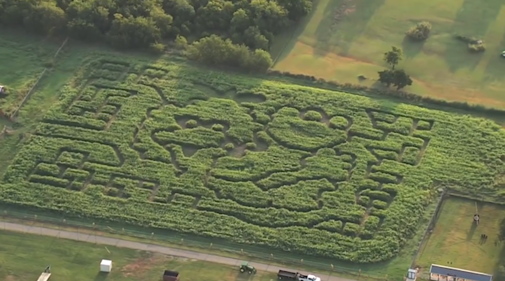 WATCH: 'Sesame Street' maze among fun to be had at Orr Family Farm