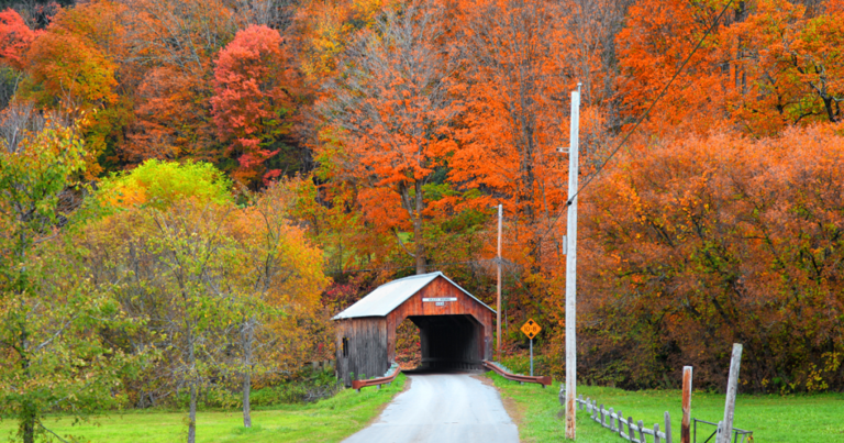 14 Amazing Fall Activities to Do in Vermont (#4 Is So Cozy)