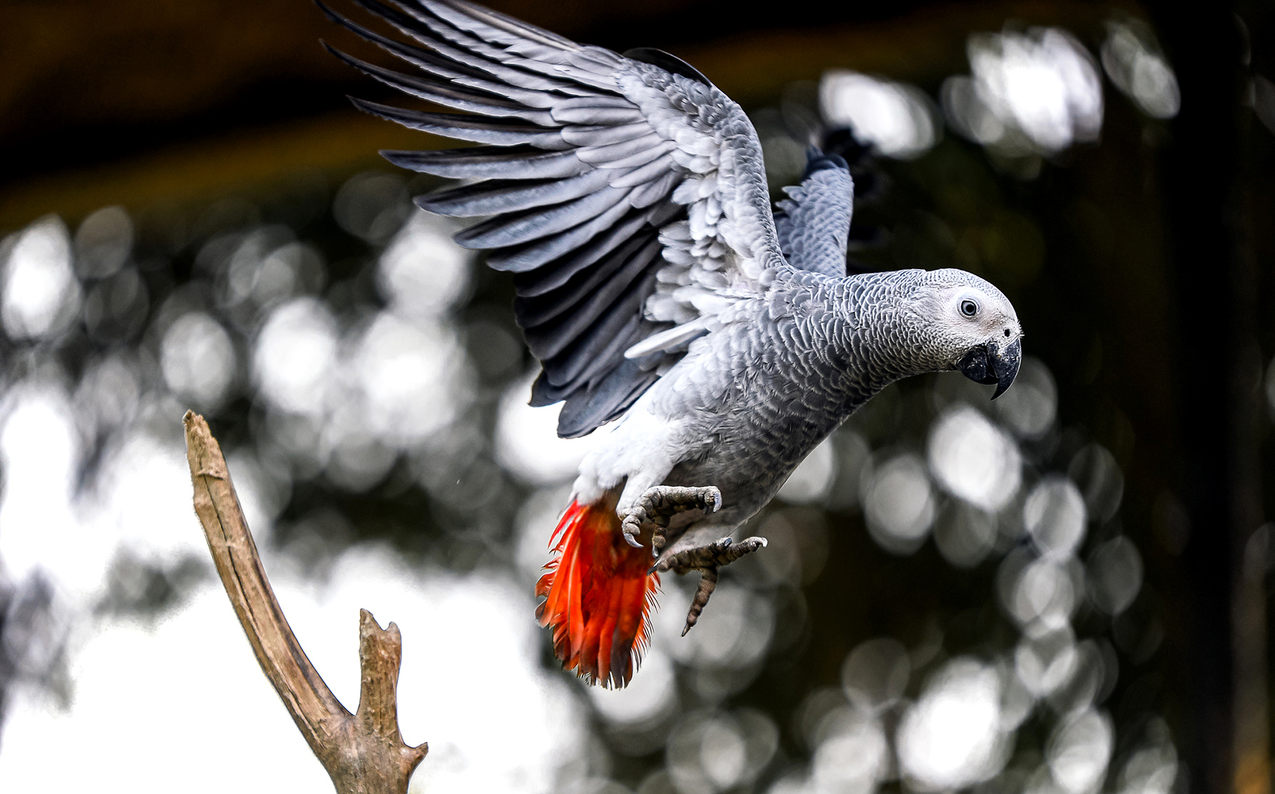 Cross-border freedom boosts African reporter’s mission to tackle ...