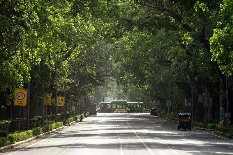 ‘17 trees illegally felled, RWA told to plant 300 saplings’