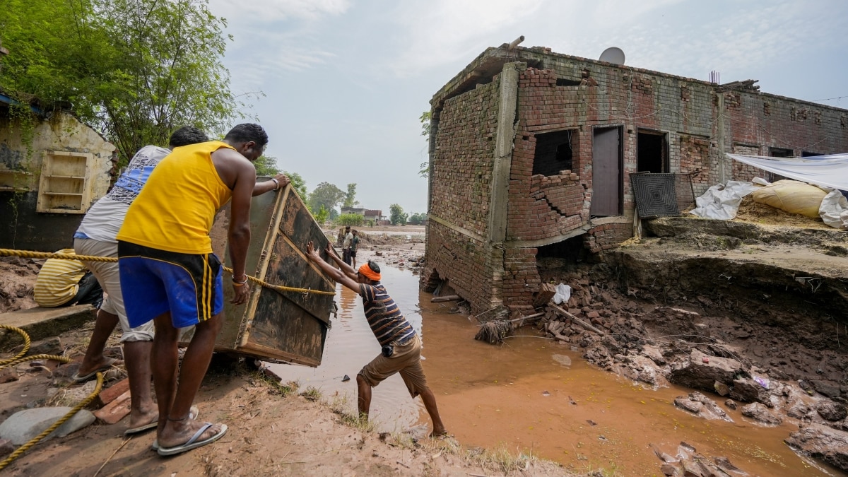 Punjab Flood Death Toll Rises To 51, Crop Damage Exceeds 1.84 Lakh Hectares As Govt Announces ...
