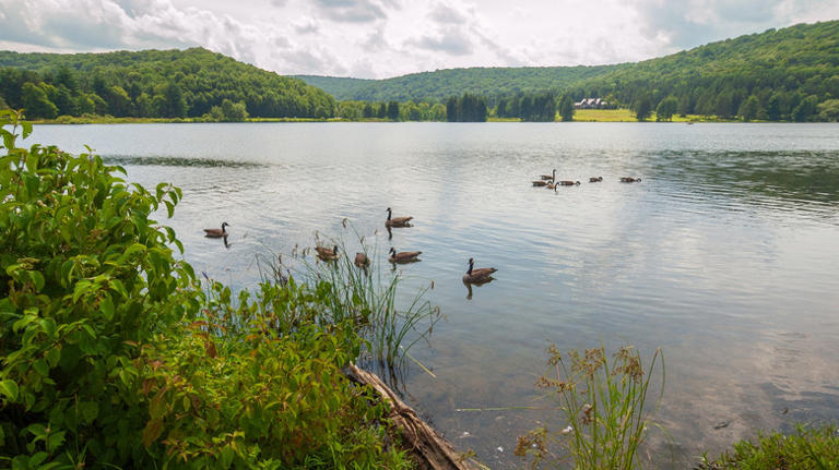 Western New York's 'Wilderness Playground' Near The Pennsylvania Border ...
