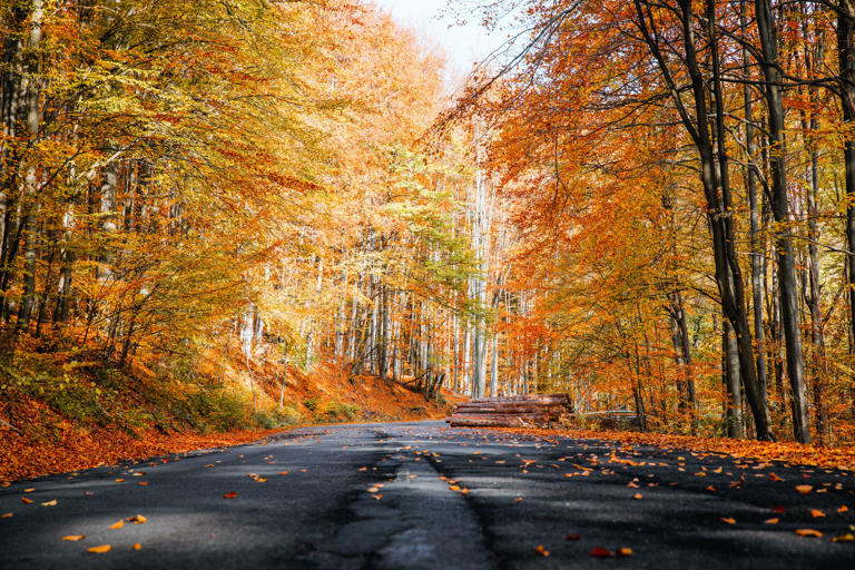 A Few of The Best Places To See Fall Foliage