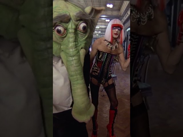 Find The Fish!! Monty Python's The Meaning of Life